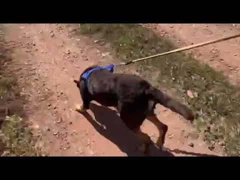 video 1601401745