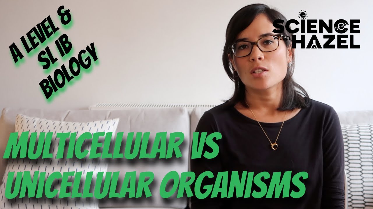 Multicellular Vs Unicellular Organisms | A Level & SL IB Biology