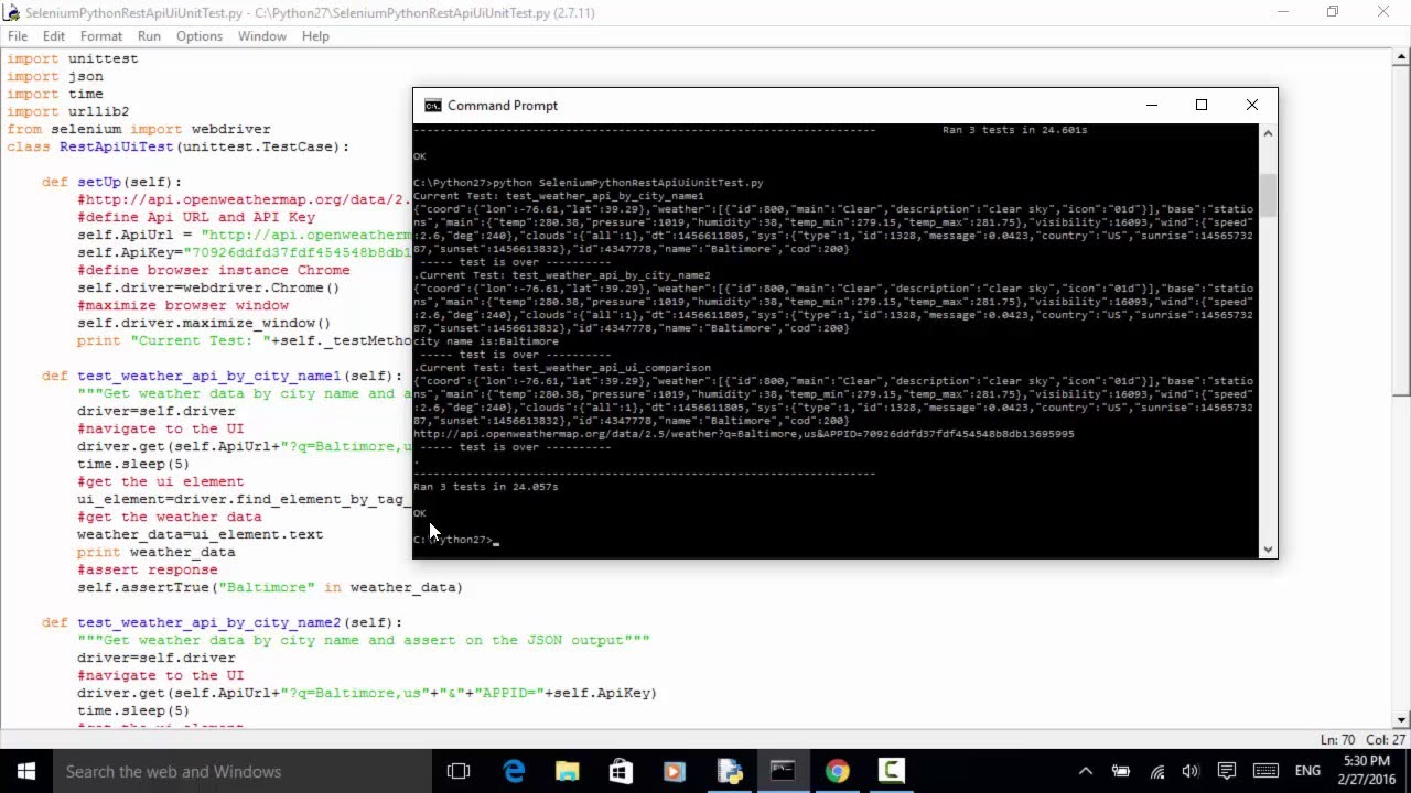 Selenium Python Webdriver Tutorial - REST API & UI Verification