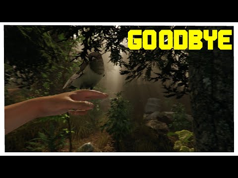 Steam Community :: Video :: Goodbye The Forest...