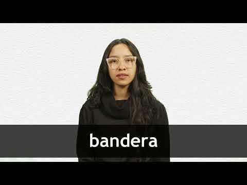 English Translation of “BANDERA” | Collins Spanish-English Dictionary