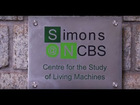 Introduction to Simons Centre for the Study of Living Machines