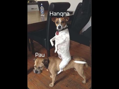 the best bot raid discord 2025