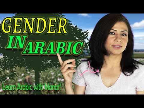 Feminine and Masculine in Levantine Syrian Arabic (Gender in Arabic)