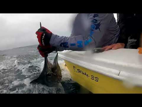 Costa Rica Fishing Report 2024 OCTOBER