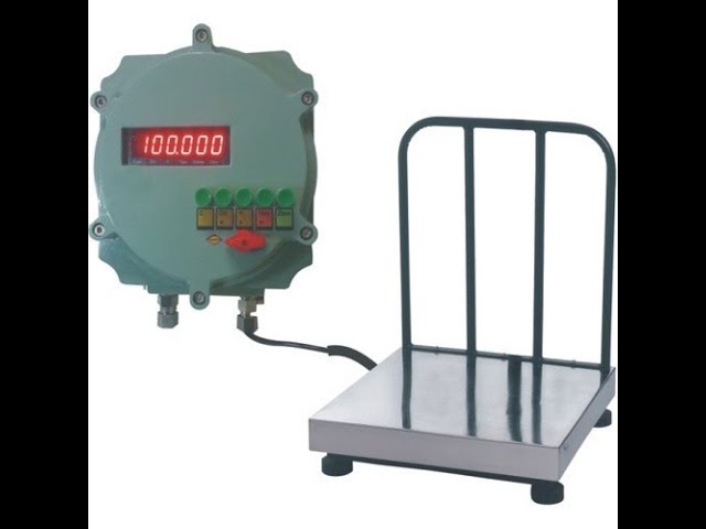 Platform Scales - SES1TPL Heavy Duty Platform Scales Manufacturer from ...