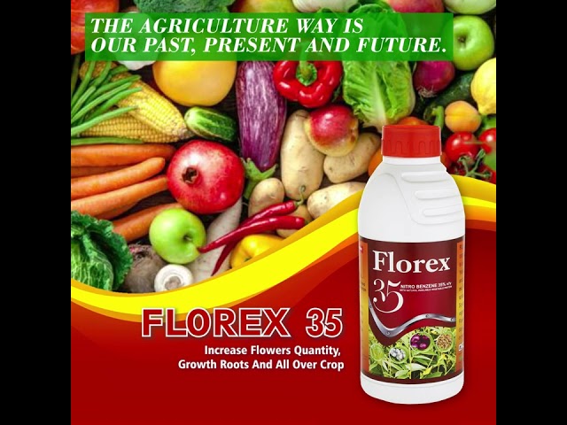 Agricultural Insecticide - FIPRONIL 40% + IMIDACLOPRIDE 40% WG from Rajkot