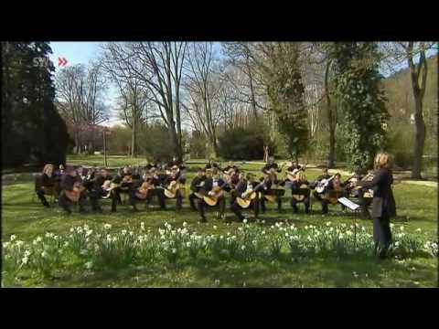 Jugendgitarrenorchester - Vivaldi - SWR