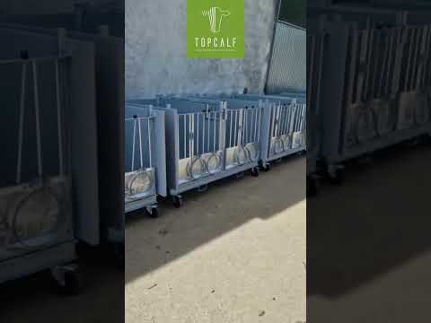 Boxes para terneras - SAT Gonzar - Topcalf