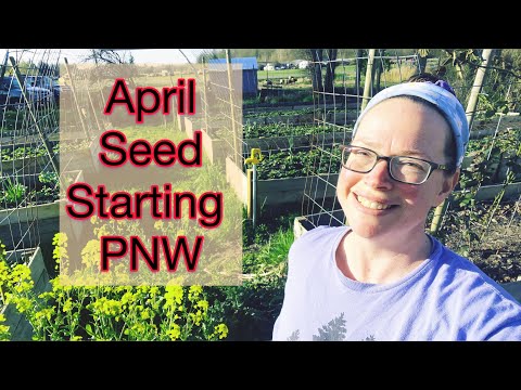 What to Plant in April: Seed Starting for the PNW Zone 8