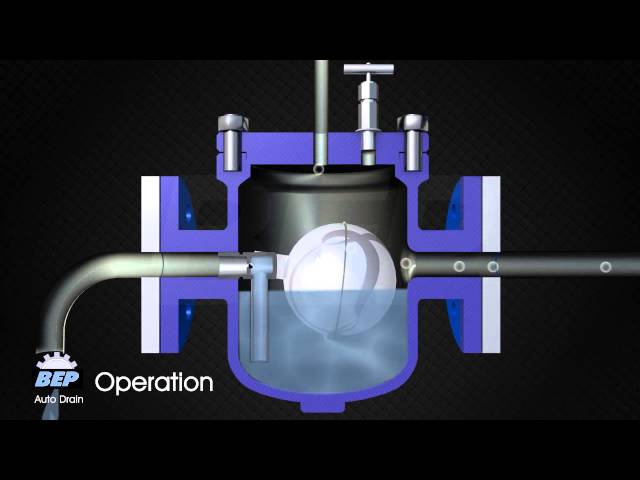 Ball Float Auto Drain Trap - Ball Float Auto Drain Manufacturer from Pune