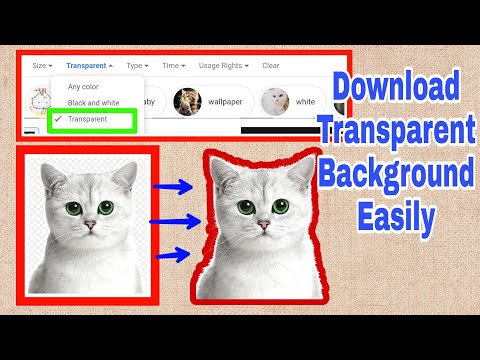 HOW TO DOWNLOAD IMAGE WITH TRANSPARENT BACKGROUND | THE RIGHT WAY