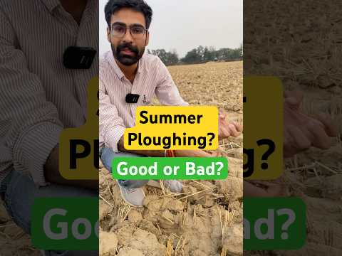 Why Smart Farmers Plough in Summer 🌡️ #Ploughing #agriculture #Crop