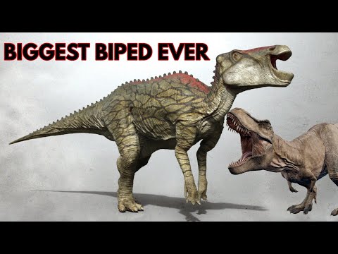 Shantungosaurus: The Hadrosaur Bigger Than T.rex! 16 Ton Biped