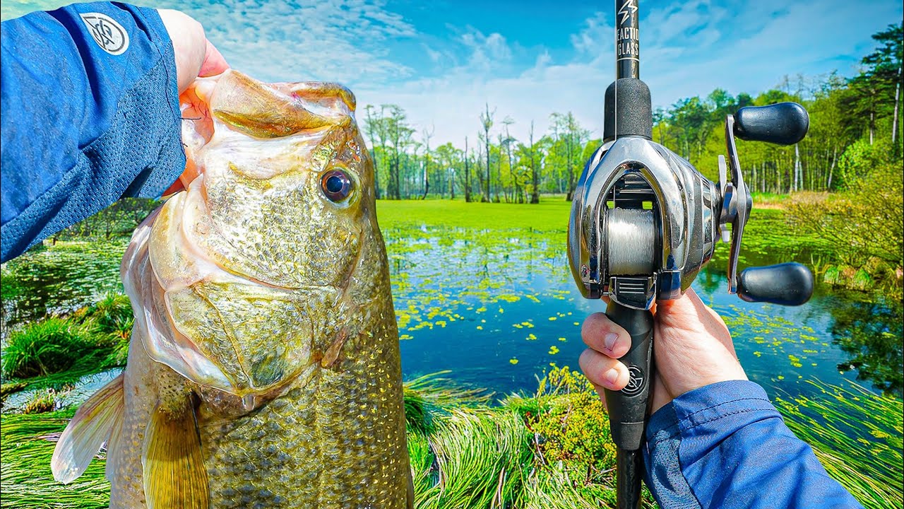 My BEST Spring Bass Fishing Day EVER (Multiple Giants)