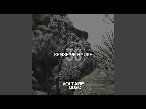 No Laws (Kaiserdisco Remix)