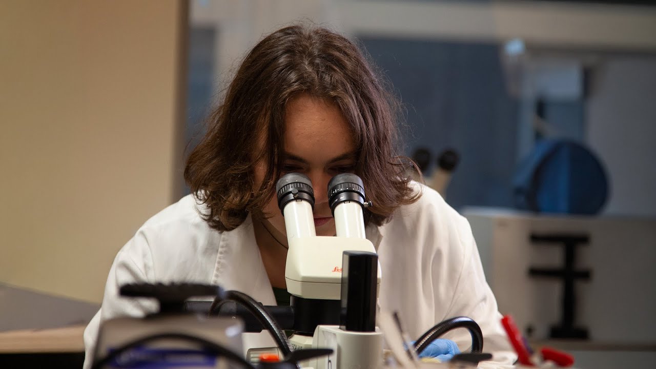 PhD Doctor of Philosophy at UBC Faculty of Forestry