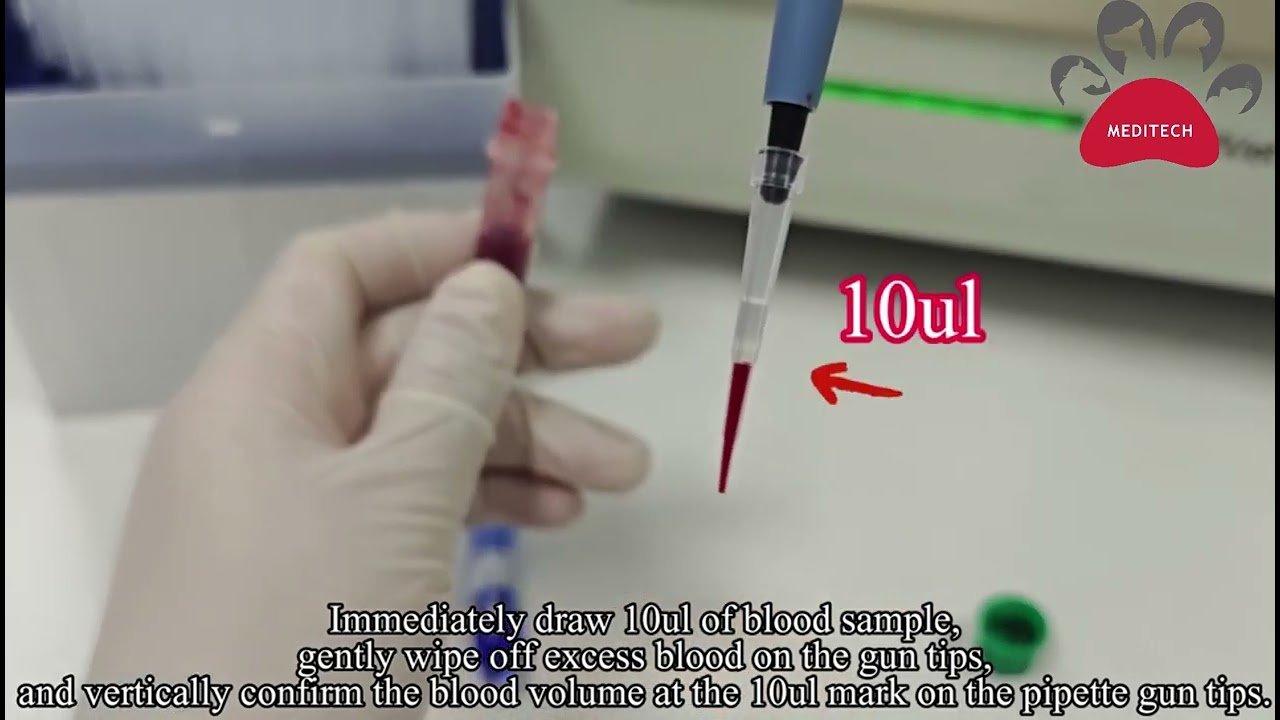 AI-100VET Veterinary Multi-Functional Analyzer  Sampling of blood test for turtle