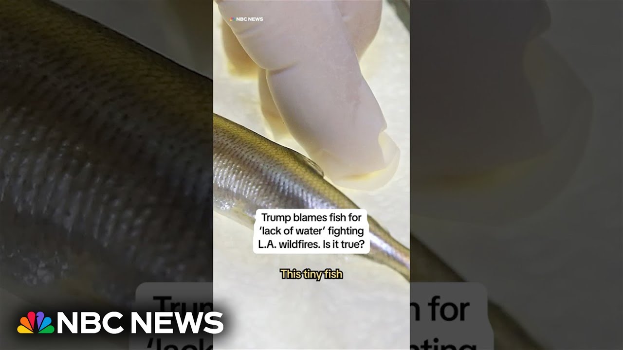 Trump blames fish for 'lack of water' fighting L.A. wildfires. Is it true?