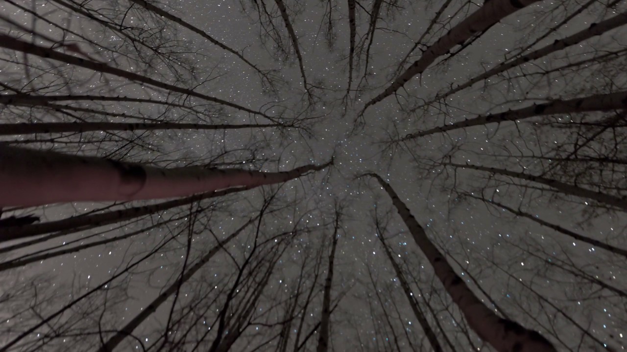 Looking up at stars HD Live Wallpaper For Windows - DesktopHut.com