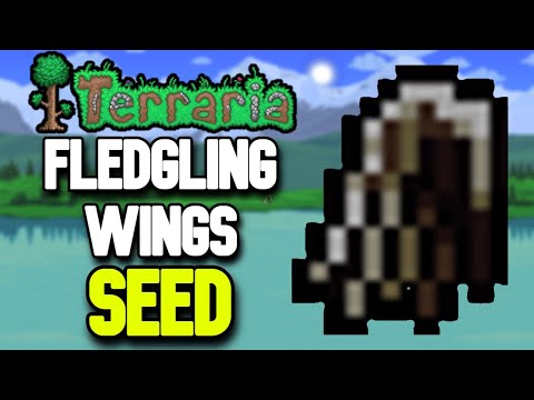 Easy Fledgling Wings Seed in Terraria (1.4.4.7)