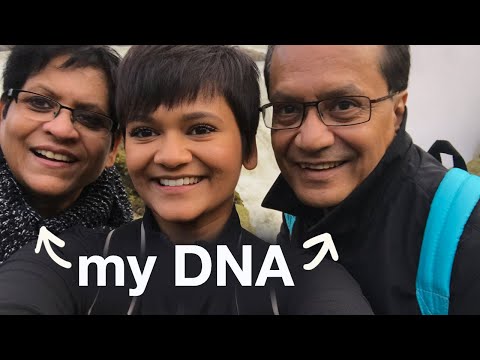 What your DNA says about you | Self Decode Review