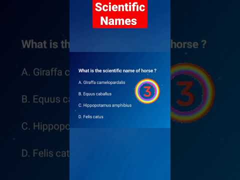 scientific name of horse #shortsfeed #englishvocabularyforbeginners #shortsvideo @notesforall987