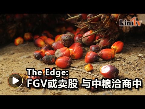 The Edge称双方谈判中 中粮集团或购FGV股份