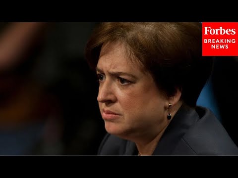 Video | 'Safety Valve For What?': Elena Kagan Grills Lawyer On ...