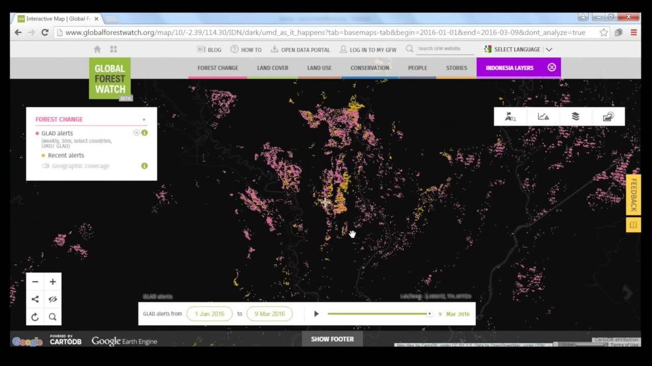 GFW Webinar - GLAD Alerts