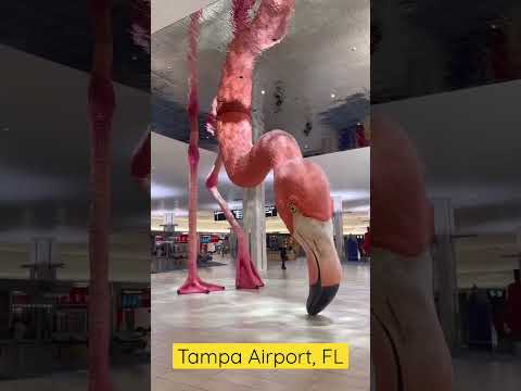 Tampa Airport, FL