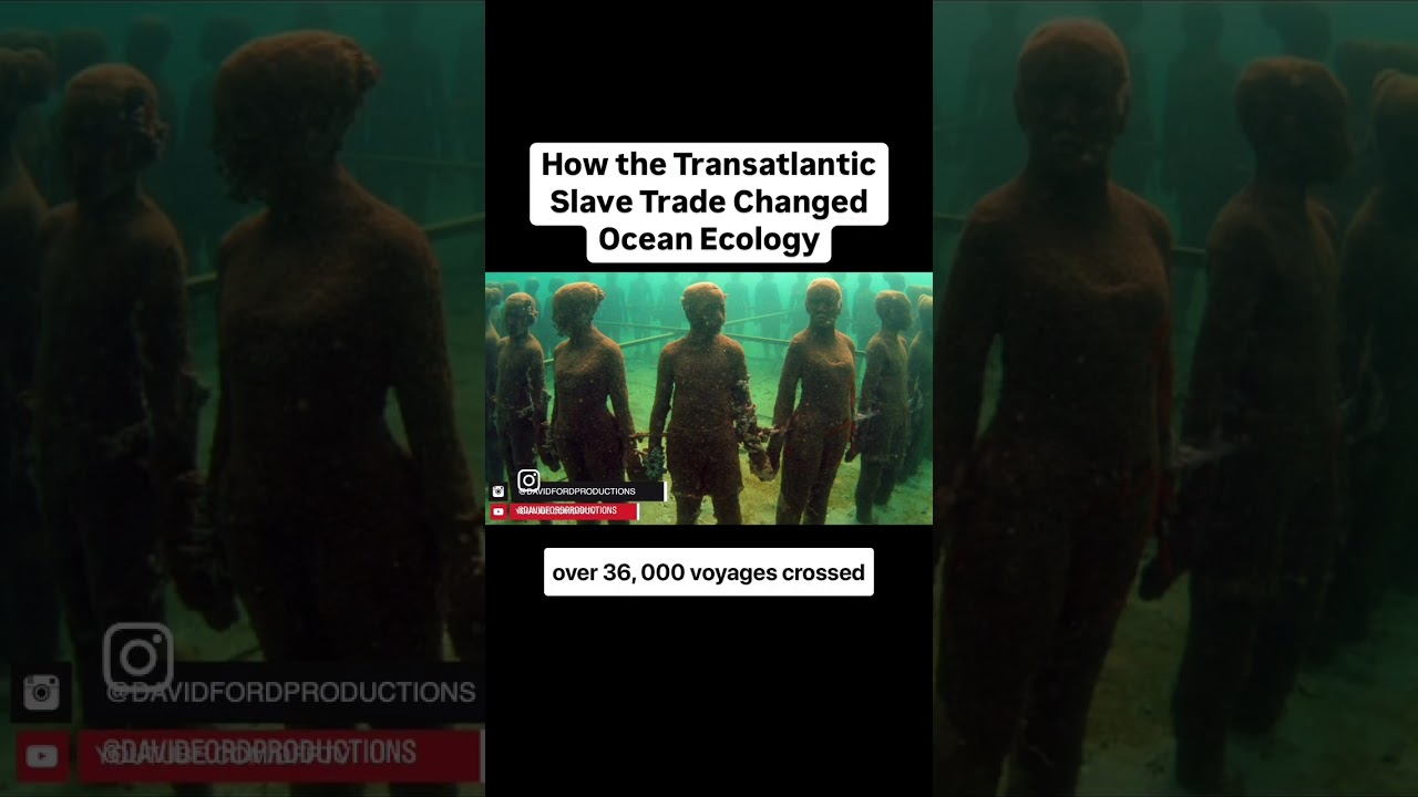 Transatlantic Slave Trade Changed Ocean Ecology