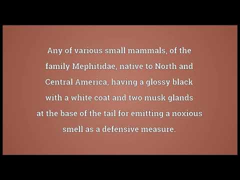 Skunk Meaning