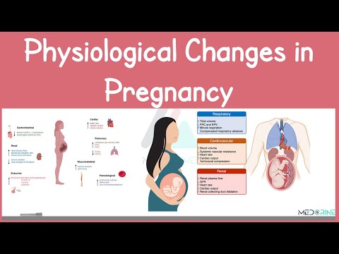 Physiological Changes in Pregnancy | High-Yield Tutorial