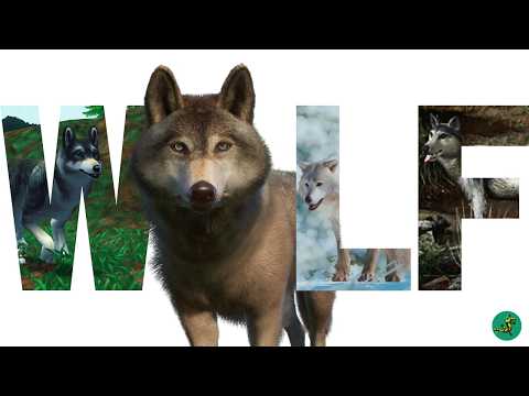 Steam Community :: Video :: Are there too many Wolves in Zoo Games? 🐺 ...