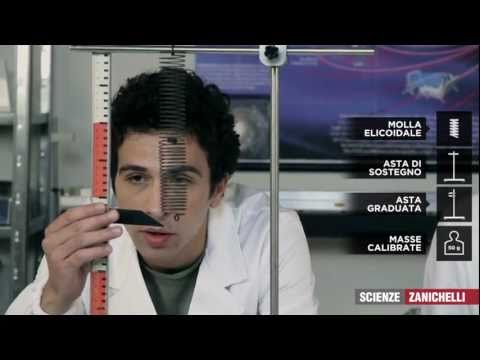 Il comportamento elastico di una molla (tratto da Fisica in laboratorio et al)