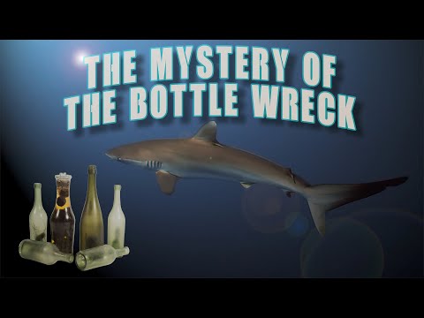 THE MYSTERY OF THE BOTTLE WRECK, A DEEP-WATER SHIPWRECK OFF FLORIDA (PART I)