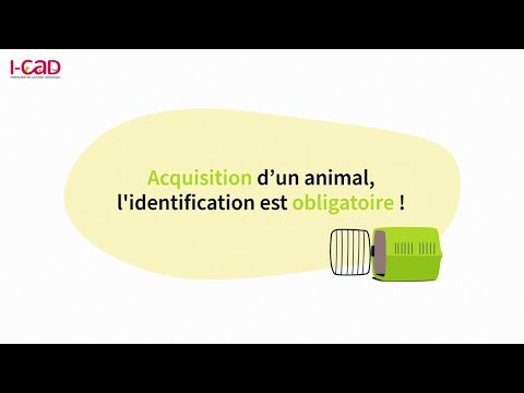 I-CAD / Acquisition d'un animal, l'identification est obligatoire !
