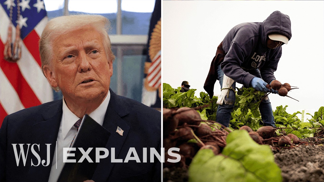 The Hidden Costs of Trump's Mass Deportations | WSJ