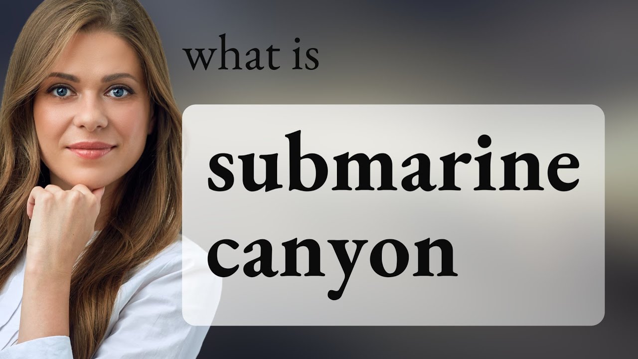 Exploring the Depths: Understanding Submarine Canyons