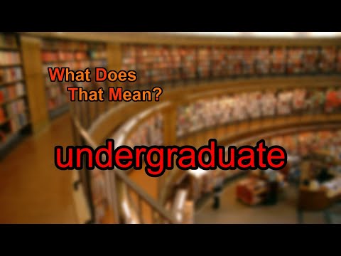 What does undergraduate mean?