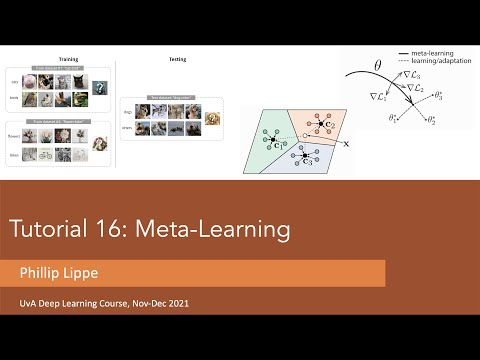 Tutorial 16: Meta-Learning - Learning to Learn (Part 1)