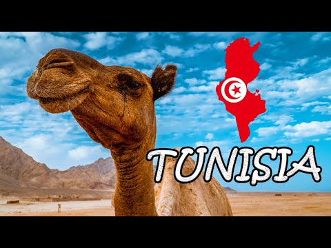 Five Days in TUNISIA | Hidden Gems of the World