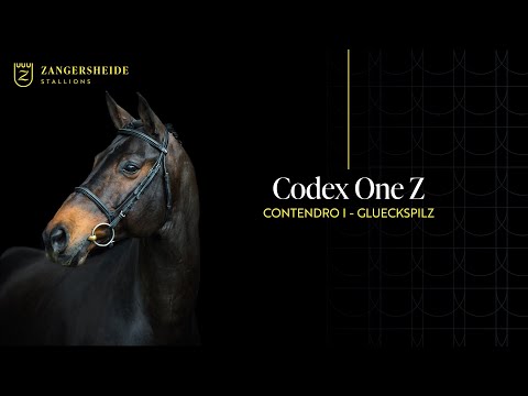 Codex One Z - Stallion Presentation 2025 ENG