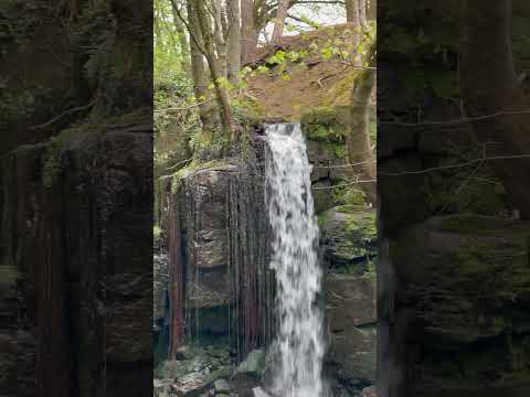 Lumsdale Waterfall, Matlock, Derbyshire UK 🇬🇧