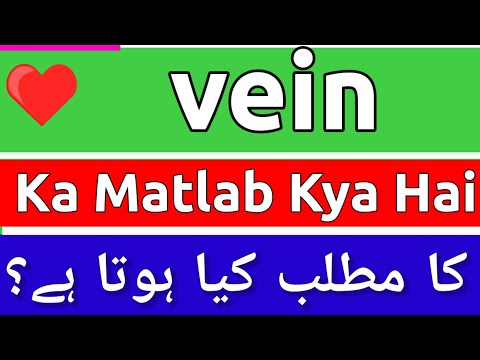 Vein Meaning In Urdu | Vein Ka Matlab Kya Hota Hai | Vein Ka Matlab | Vein Ka Meaning Kya Hai
