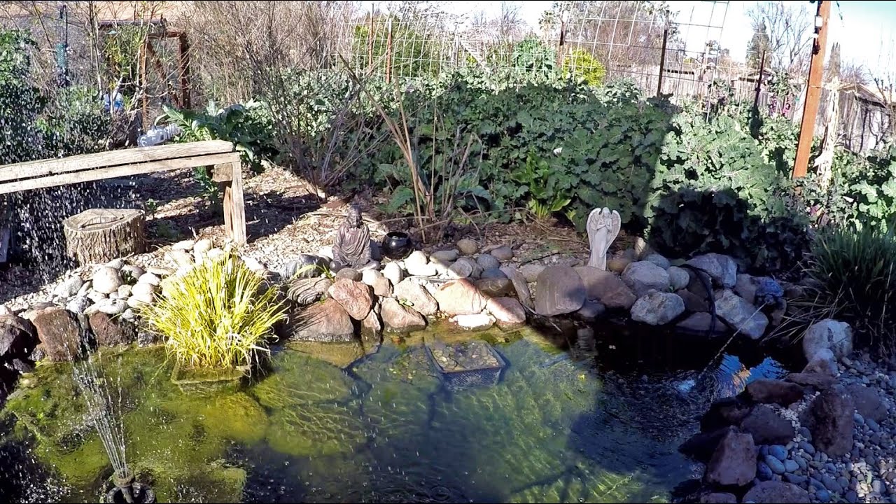 The Many Benefits Of Having A Water Feature In The Garden