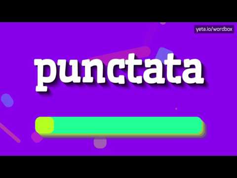 PUNCTATA - HOW TO PRONOUNCE IT!?