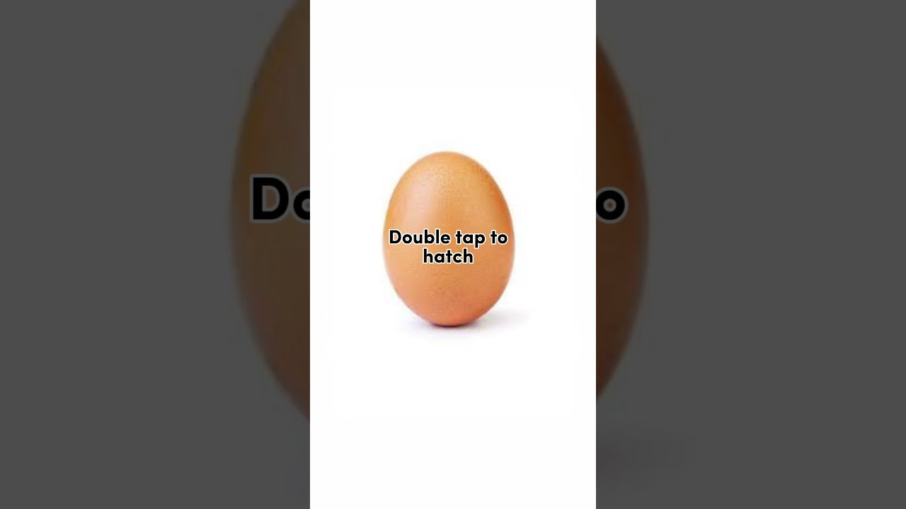 Stop Scrolling! You Found an Egg!