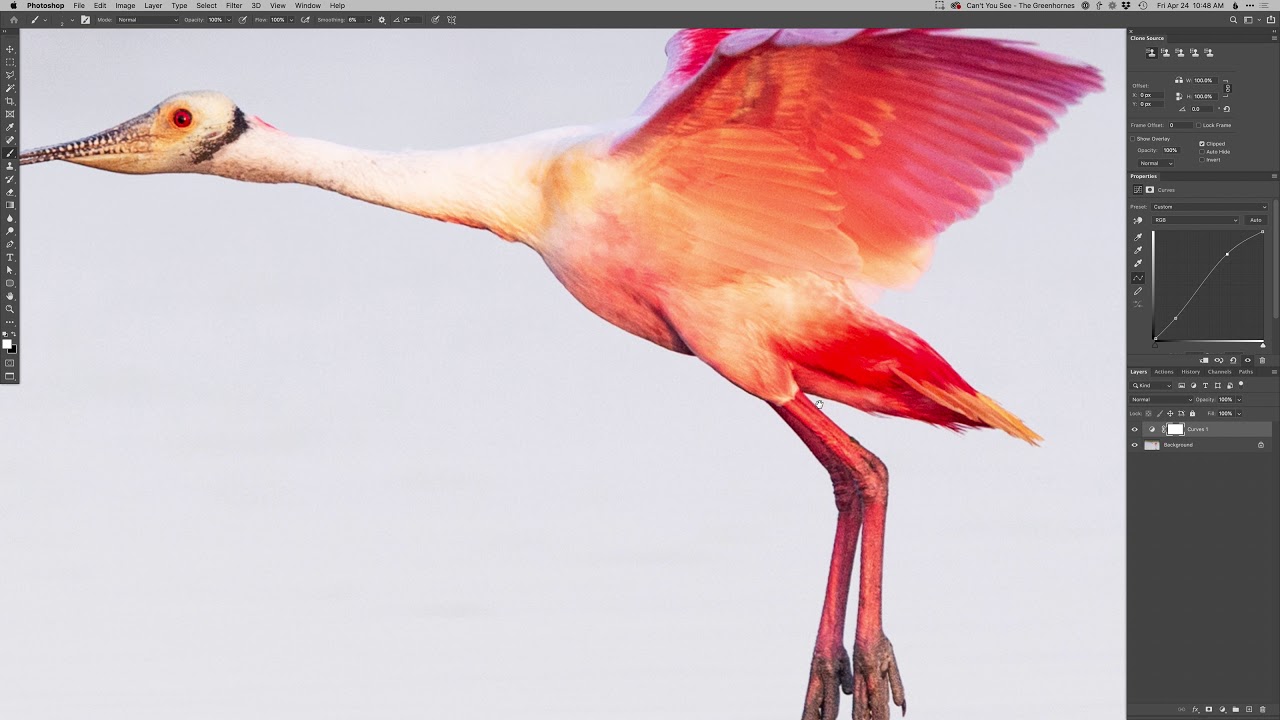 Realtime Edit - Roseate Spoonbill Landing